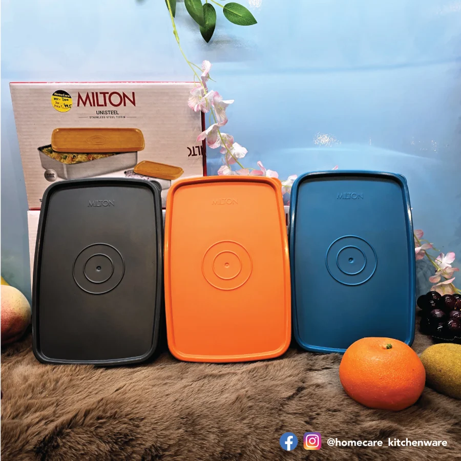 Milton Steel Pro Lunch Box - Homecare Kitchenware